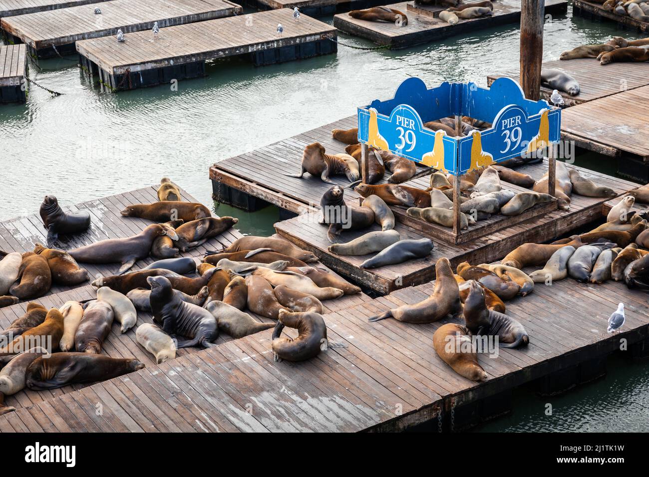 San Francisco, California, USA - September 28, 2019: The famous place ...