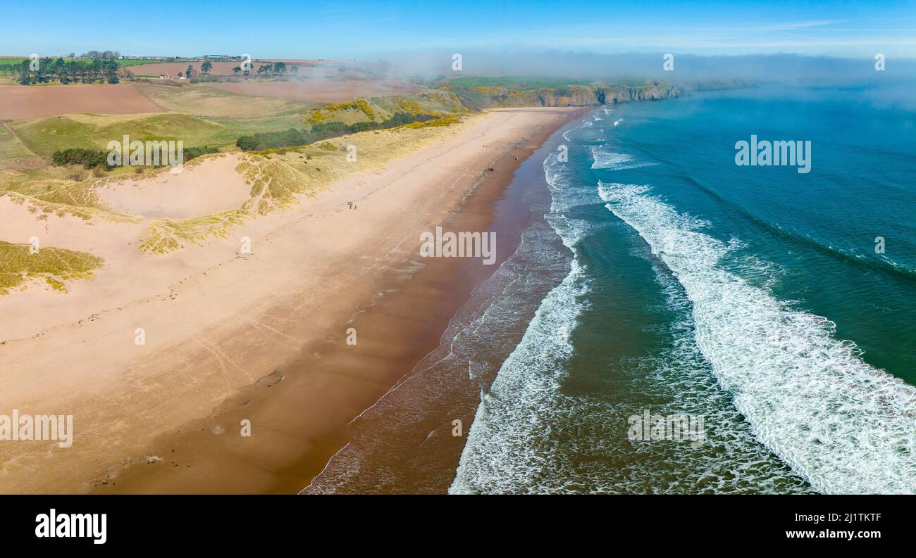 Aerial view from drone of Lunan Beach at Lunan Bay on coast of Angus in ...