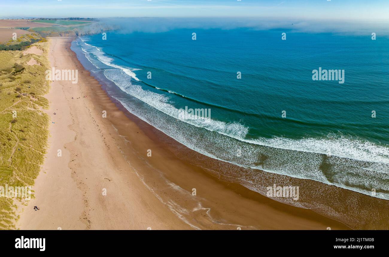 Aerial view from drone of Lunan Beach at Lunan Bay on coast of Angus in ...
