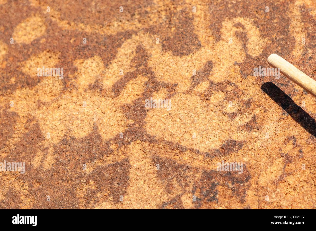 Detail of the prehistoric rock paintings of the San People in Western ...