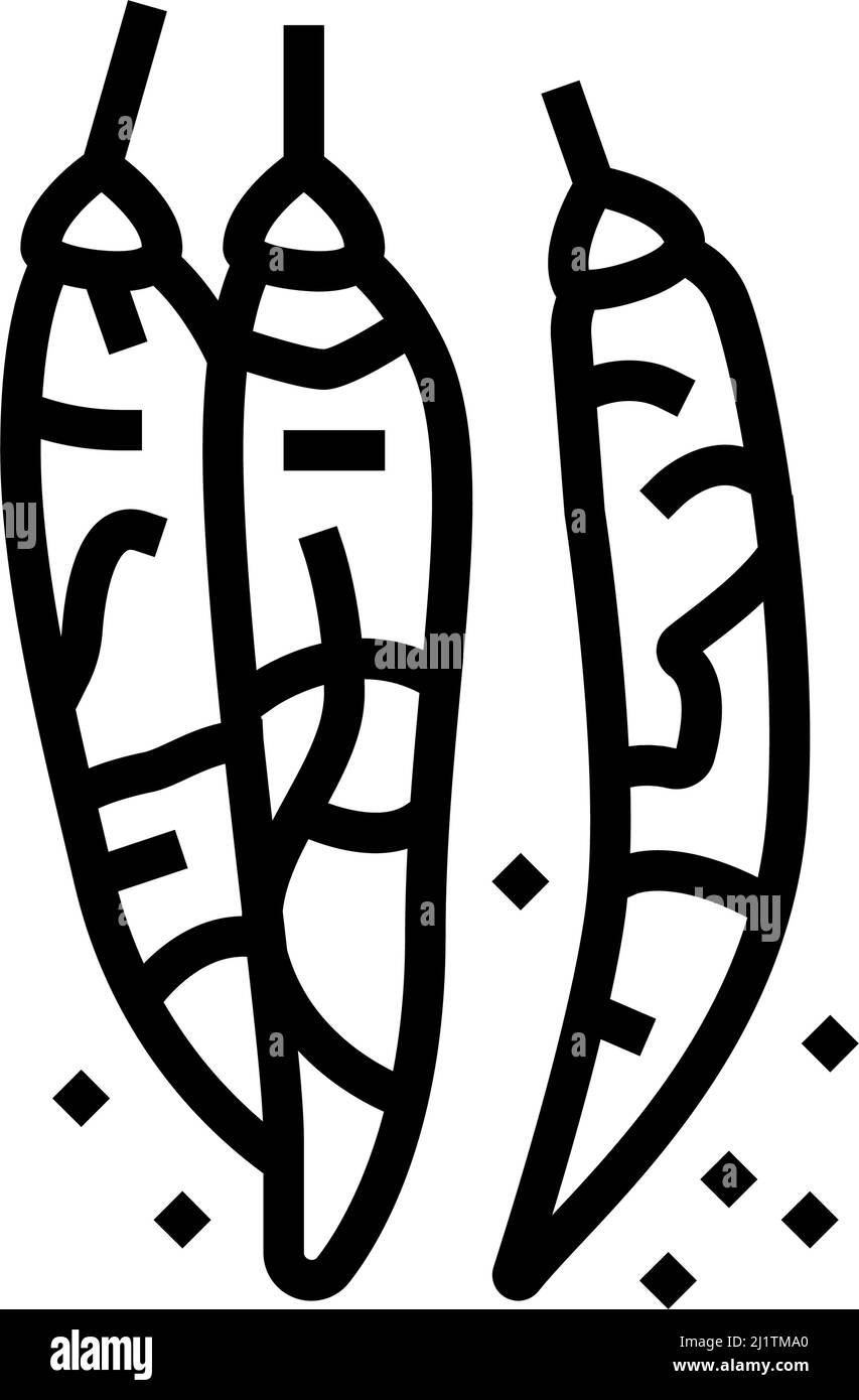 dried chili pepper line icon vector illustration Stock Vector Image ...
