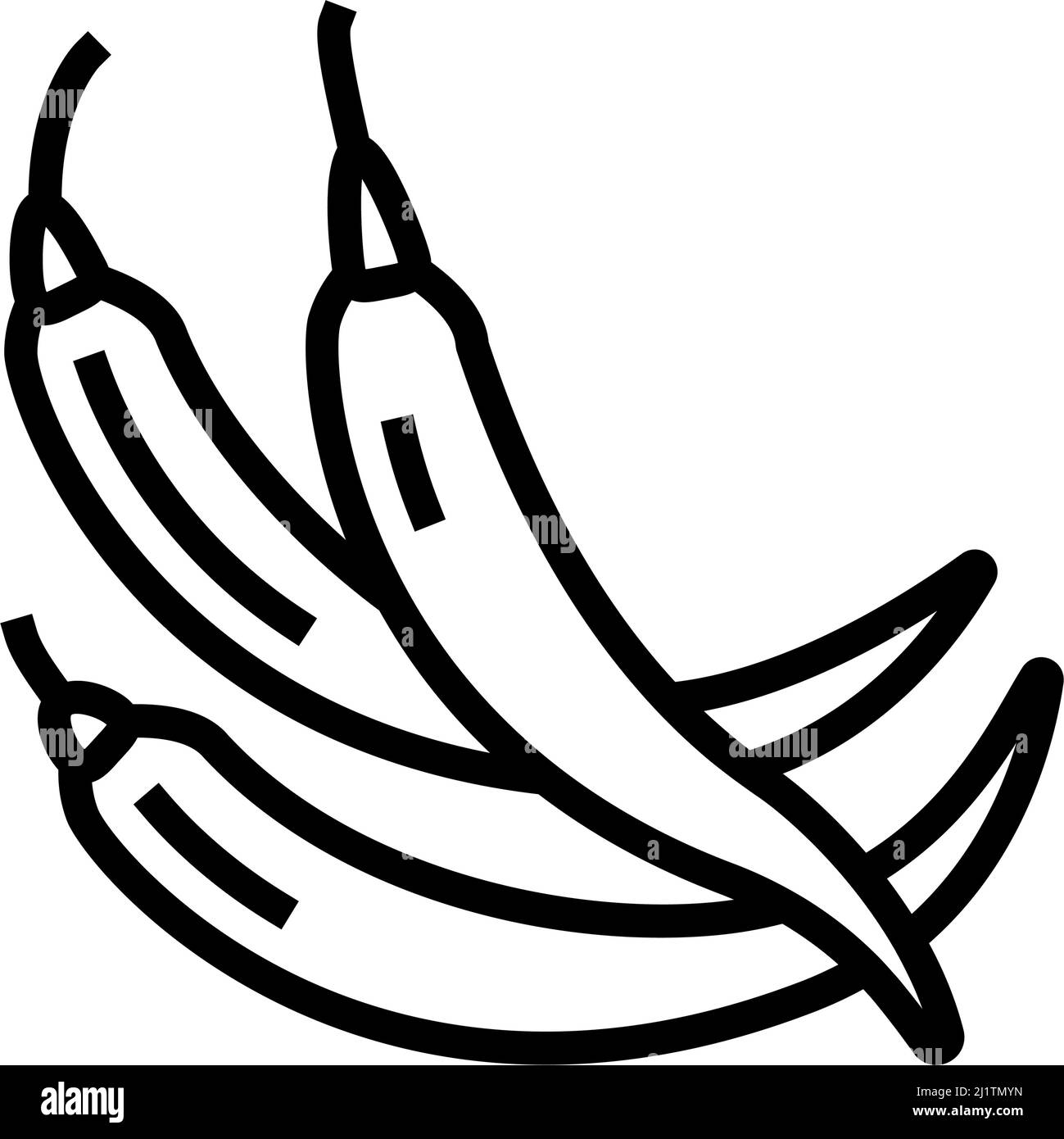 cayenne pepper line icon vector illustration Stock Vector Image & Art ...