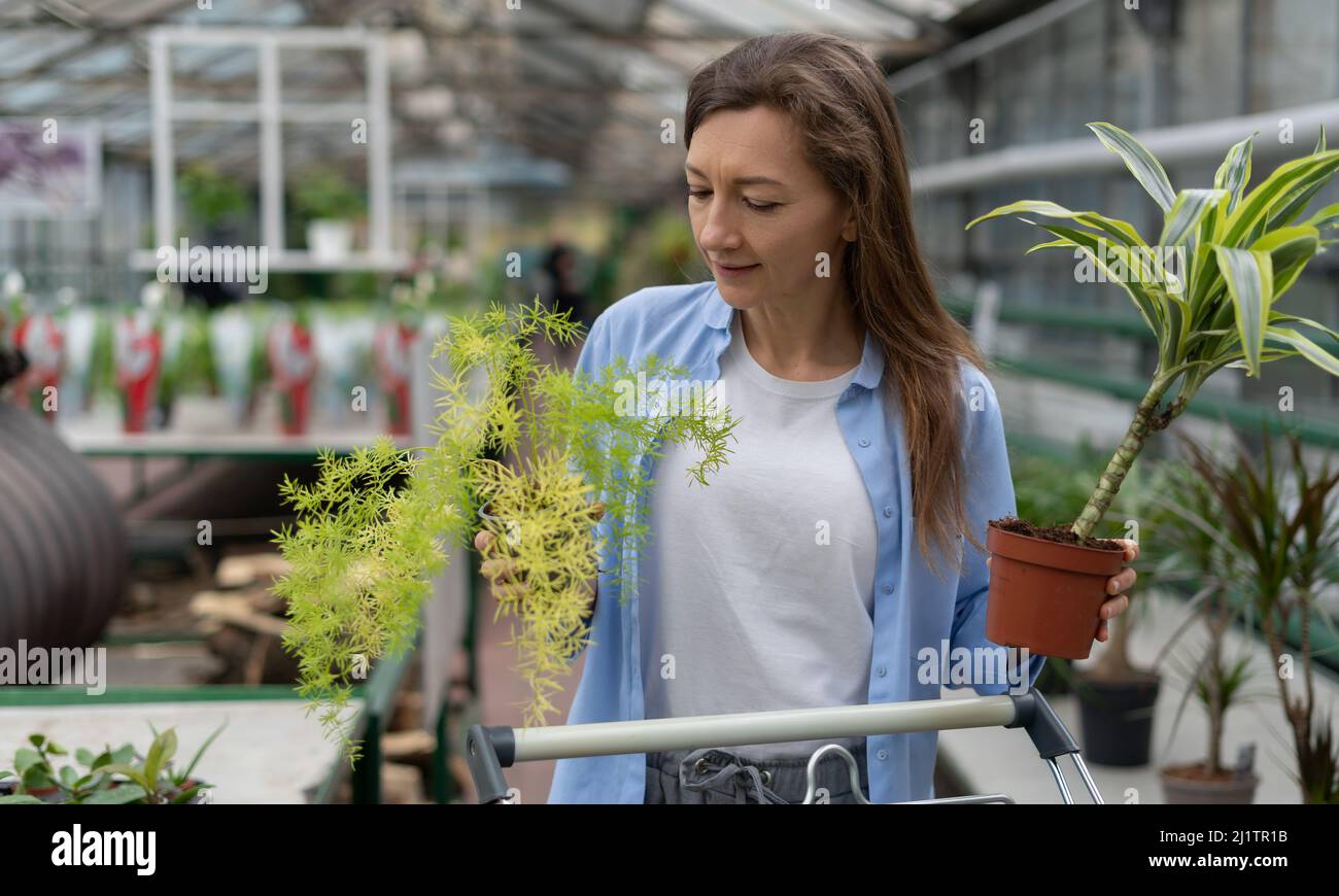 concept of gardening, planting and shopping. Beautiful woman chooses ...