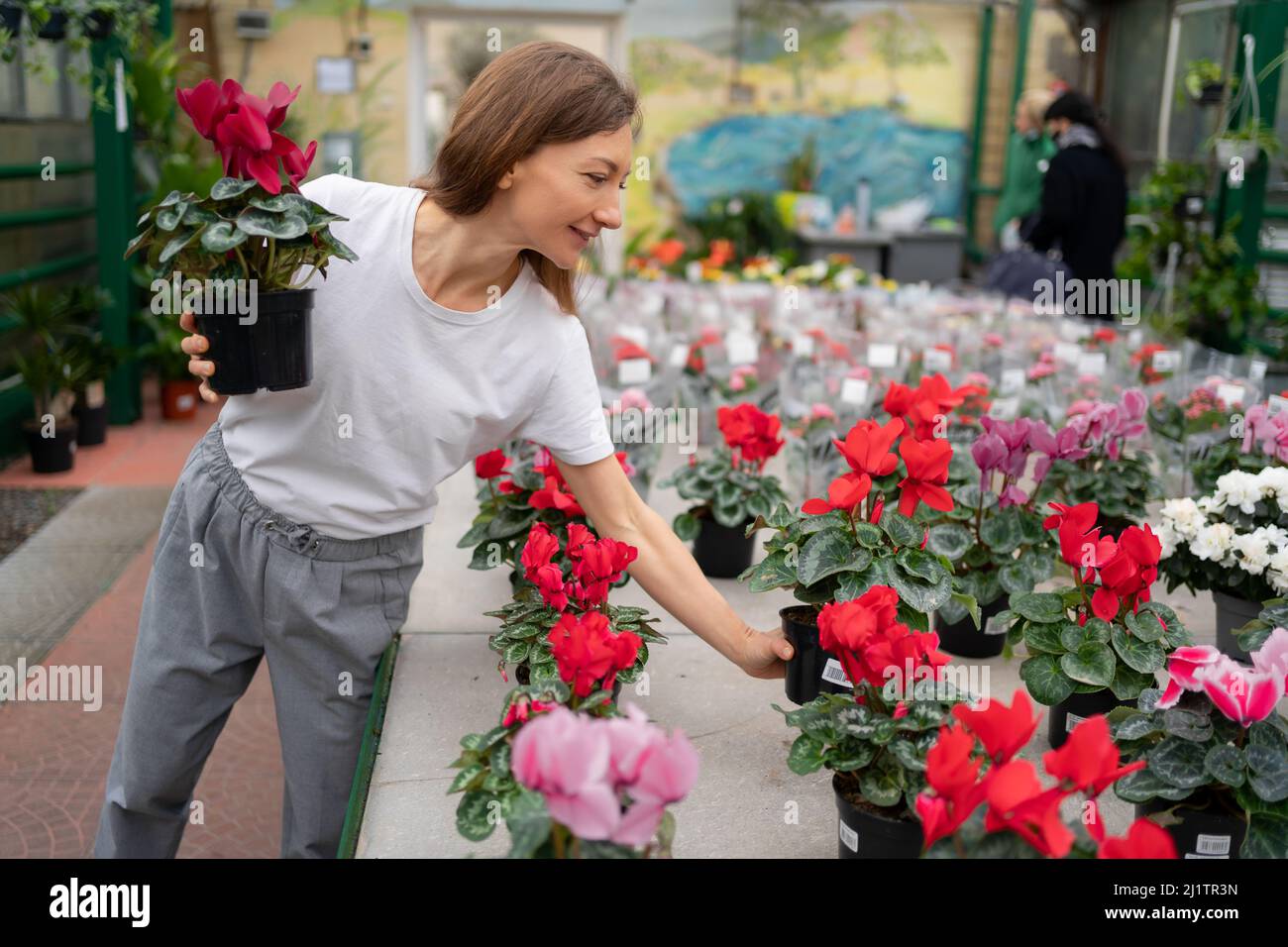 Woman professional horticulturist garden hi-res stock photography and ...