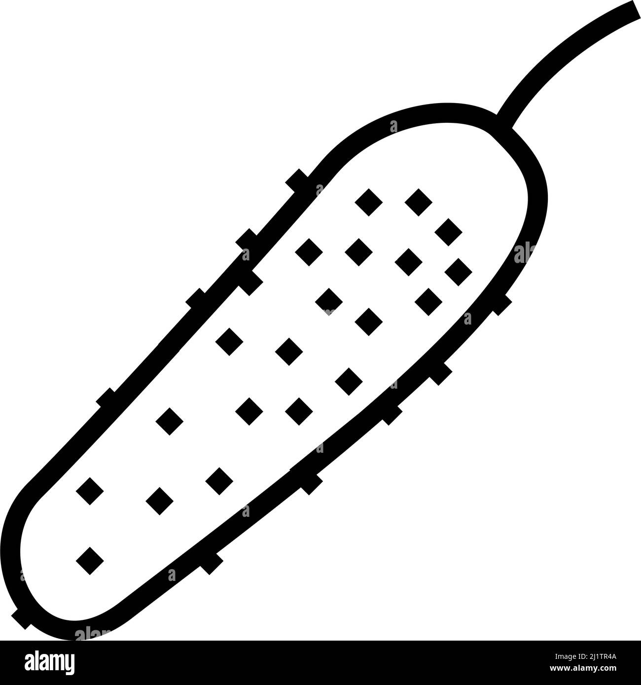 cucumber vitamin vegetable line icon vector illustration Stock Vector ...