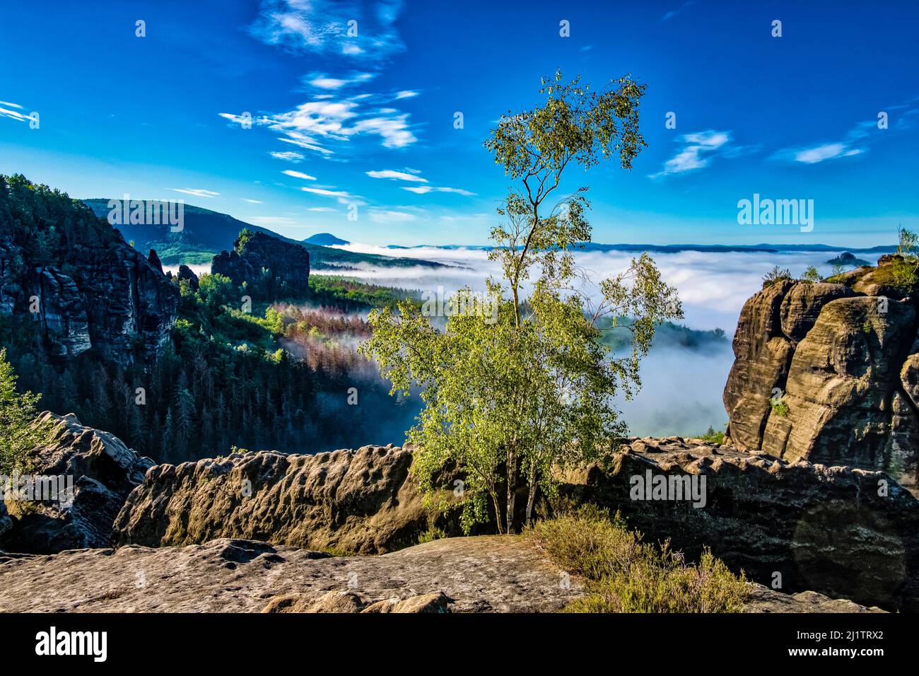 Fog covered landscape with rock formations and the summit Rauschenstein ...