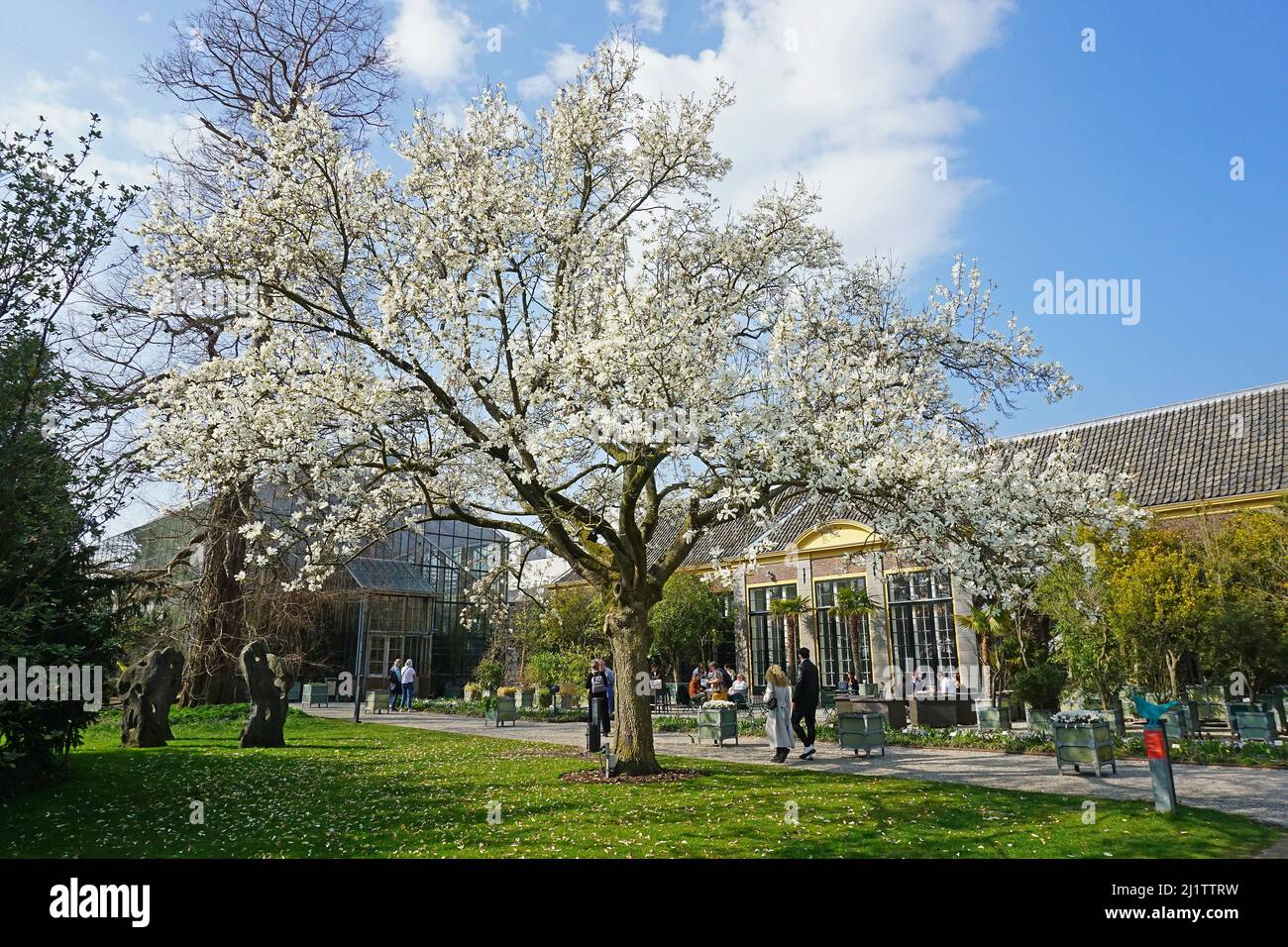 Hortus Botanicus Leiden.Orangery and Botanical Garden in the centre of ...