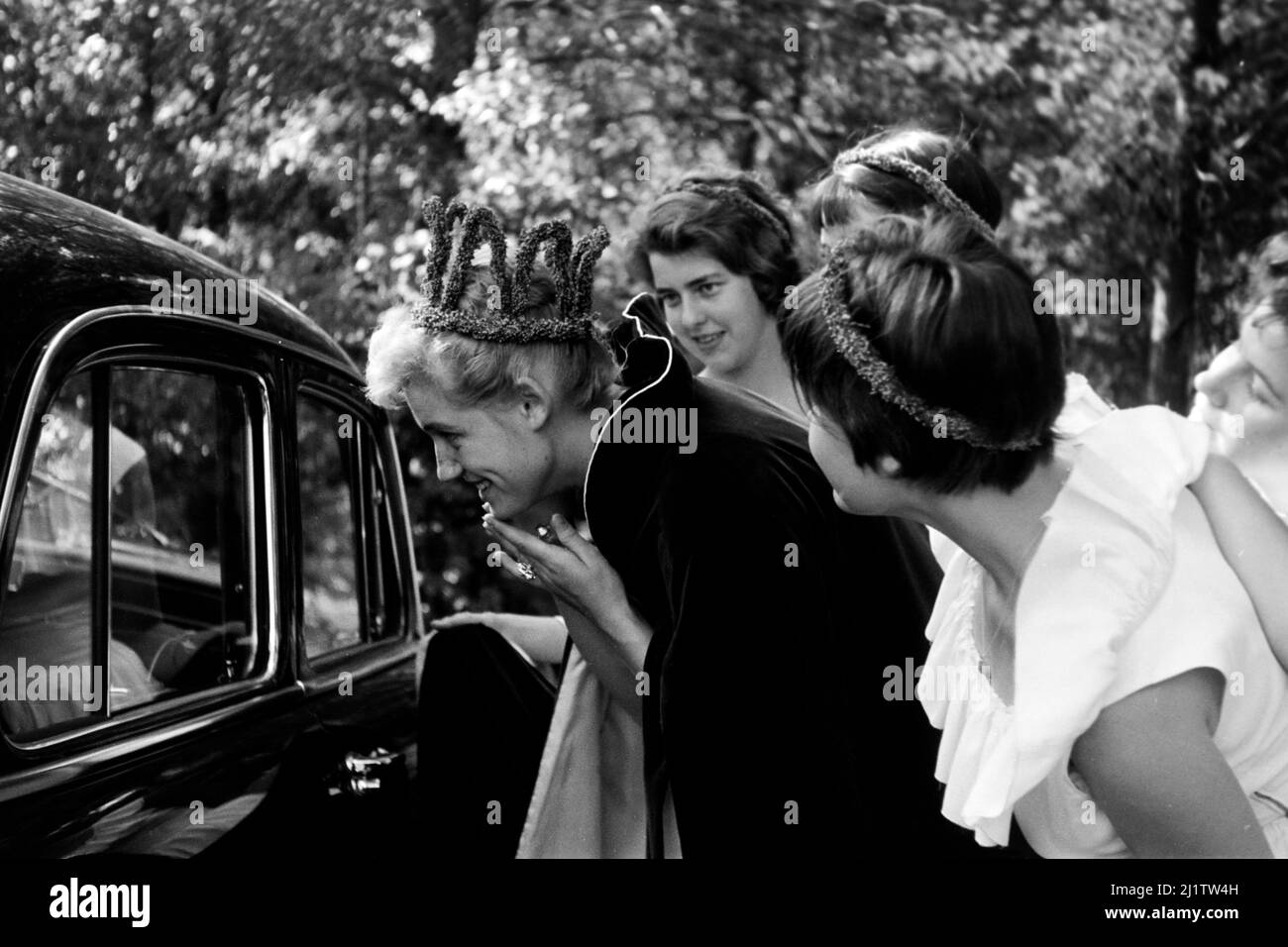 Heidekonigin hi-res stock photography and images - Alamy