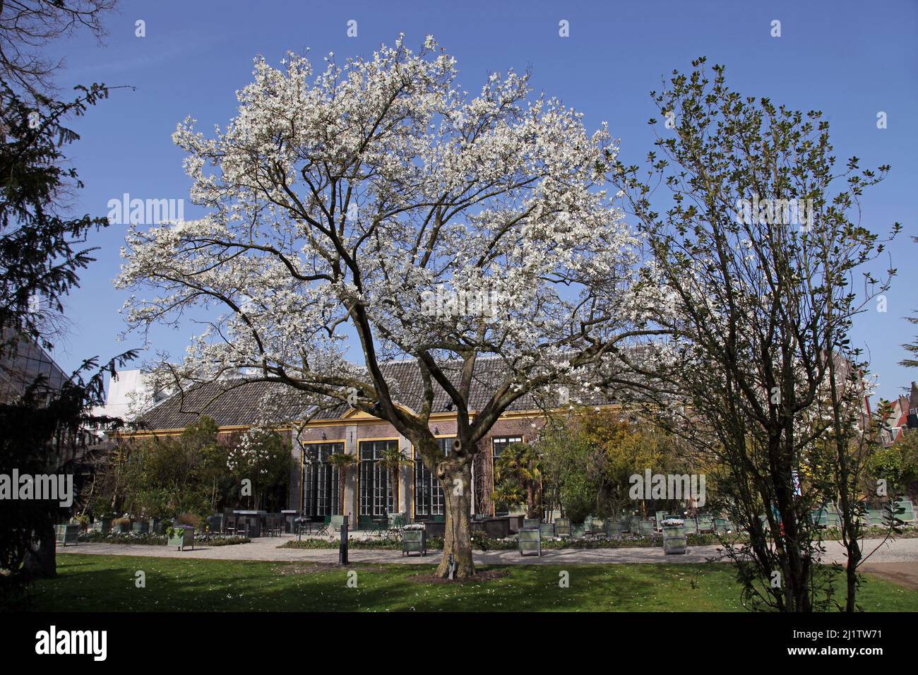 Hortus Botanicus Leiden.Orangery and Botanical Garden in the centre of ...