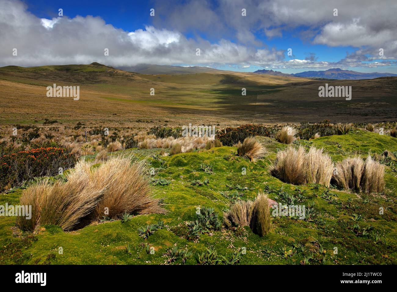Antisana volcano in Ecuador, South America. Volcano with ice and snow ...