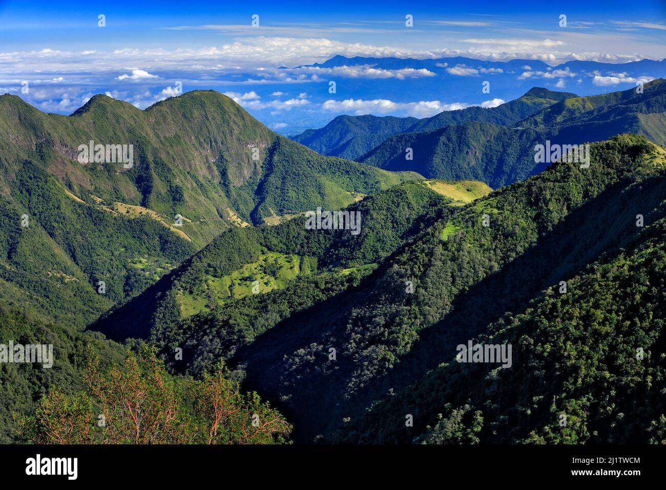 Ecuador landscape, Yanacocha reserve. Pichincha volcano, clear day in ...