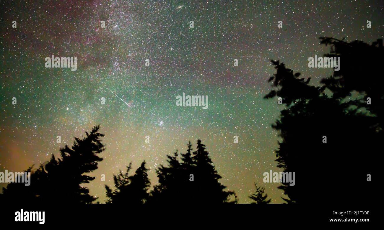 Perseid Meteor Shower Nasa