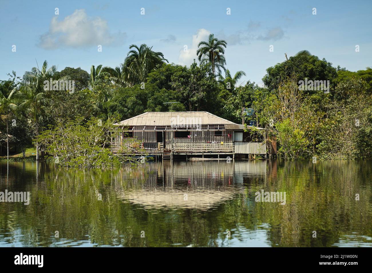 House on the Amazon river Stock Photo - Alamy