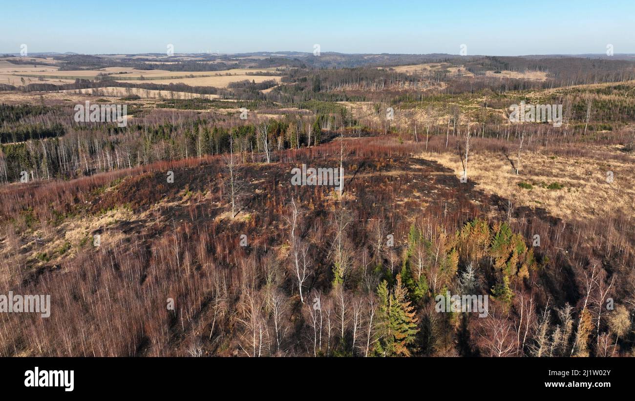 Forest after fire flame drone aerial video wild drought dry black earth ...