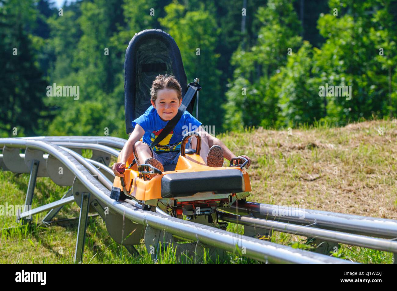 Boy on summer toboggan run Stock Photo - Alamy