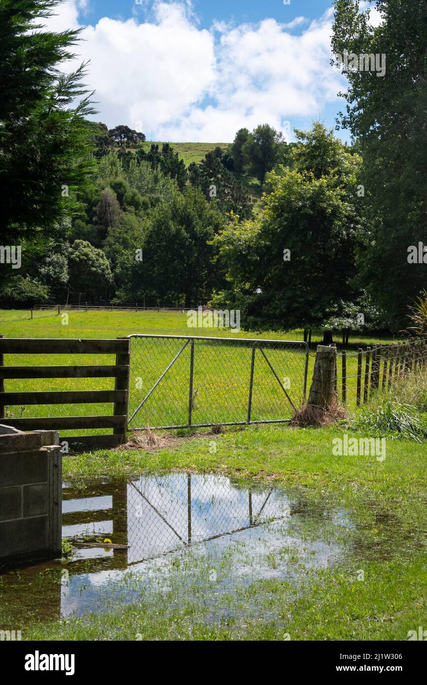 Puddle field hi-res stock photography and images - Alamy