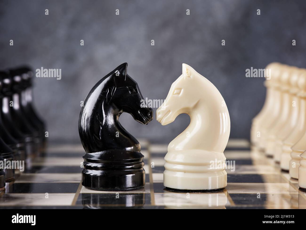 White and black chess knights confronting on the chessboard. Business ...