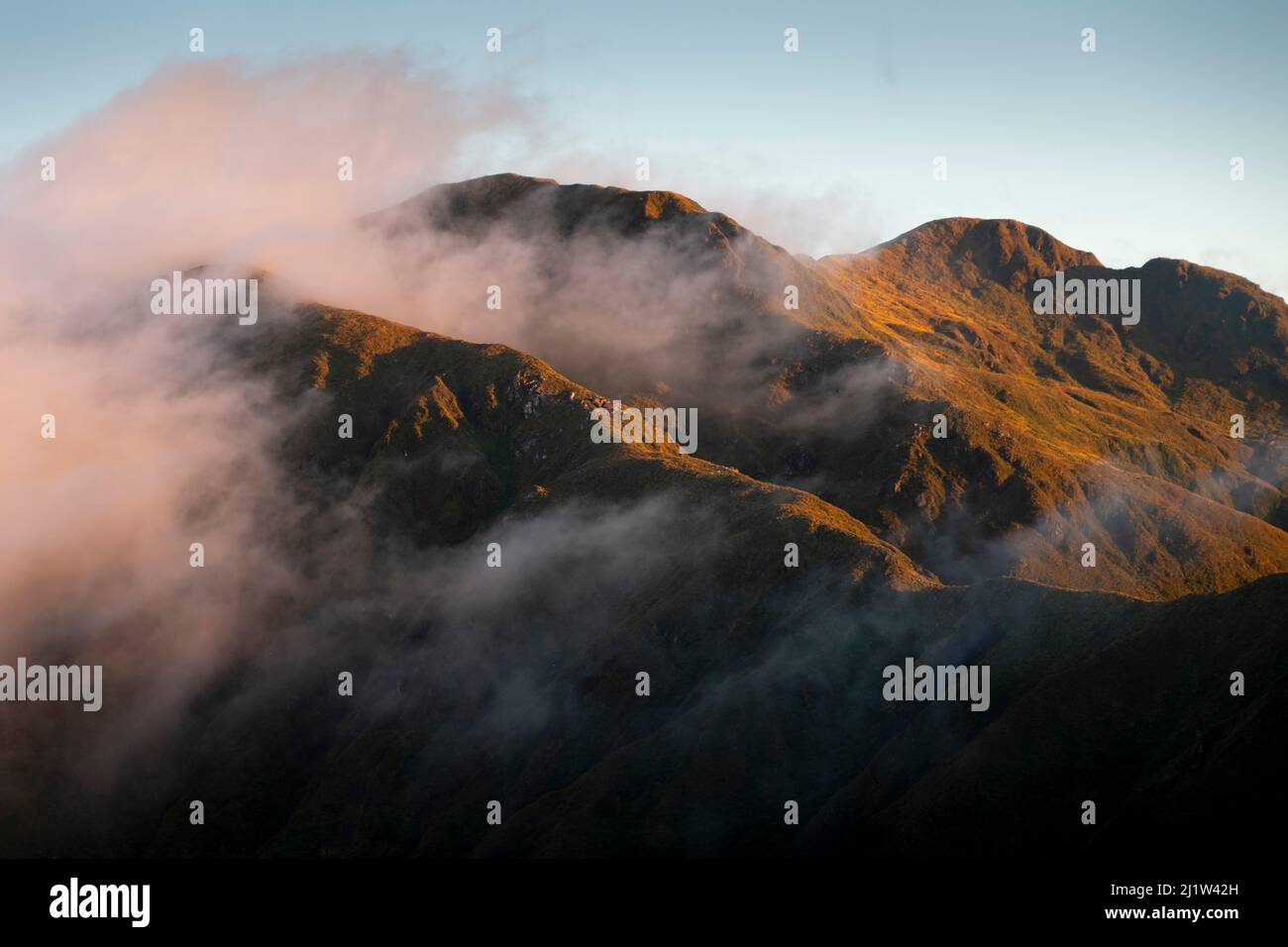 Misty moutains near Jumbo Hut, Holdsworth-Jumbo circuit, Tararua Ranges ...