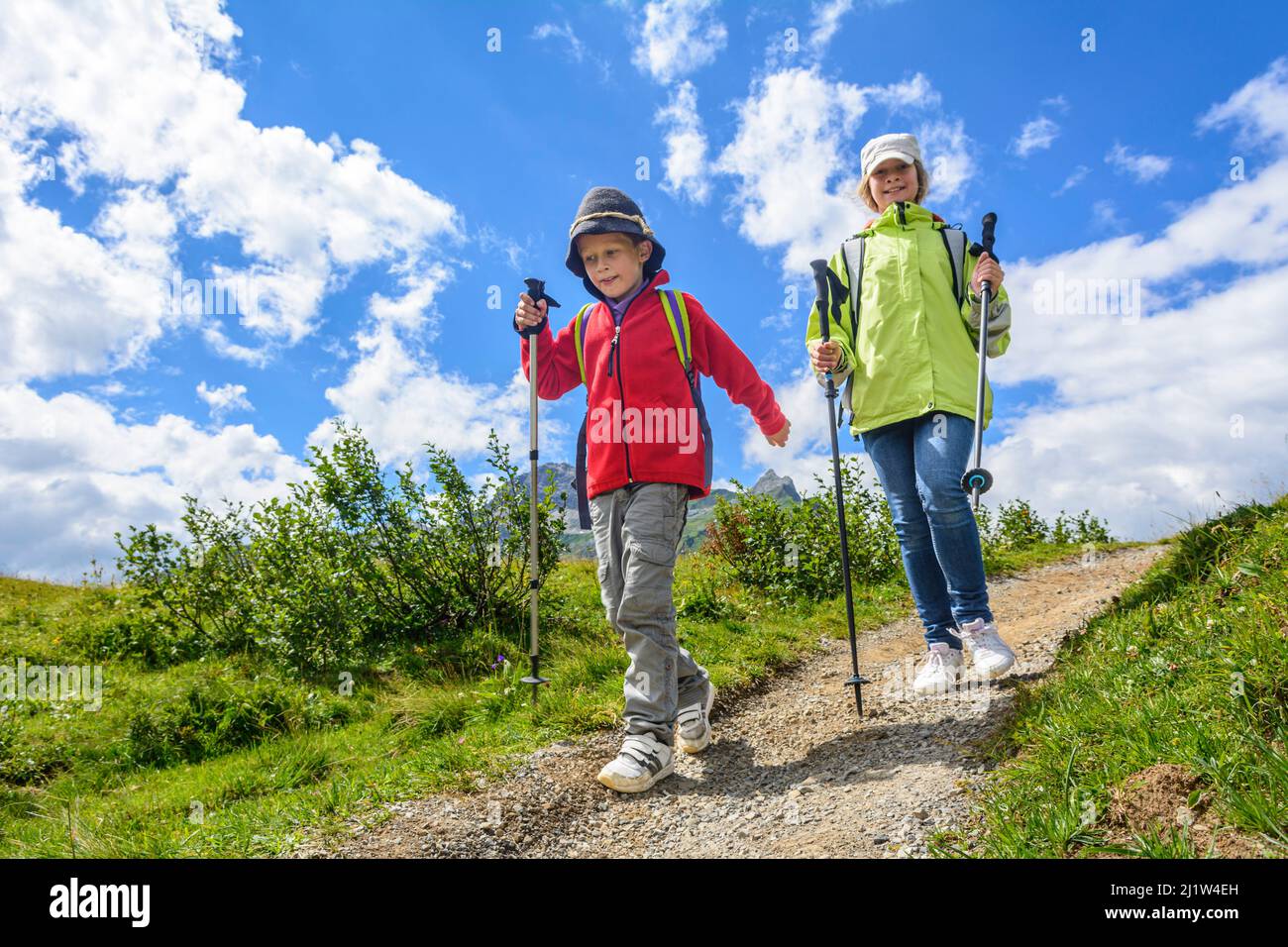 Children hiking in the beautiful nature of the western austrian alps ...