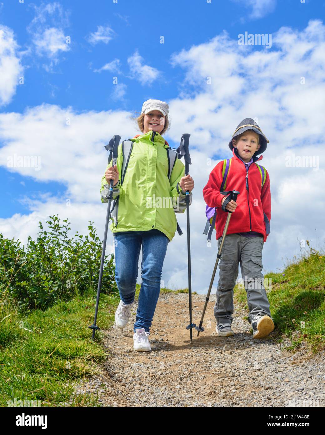 Children hiking in the beautiful nature of the western austrian alps ...
