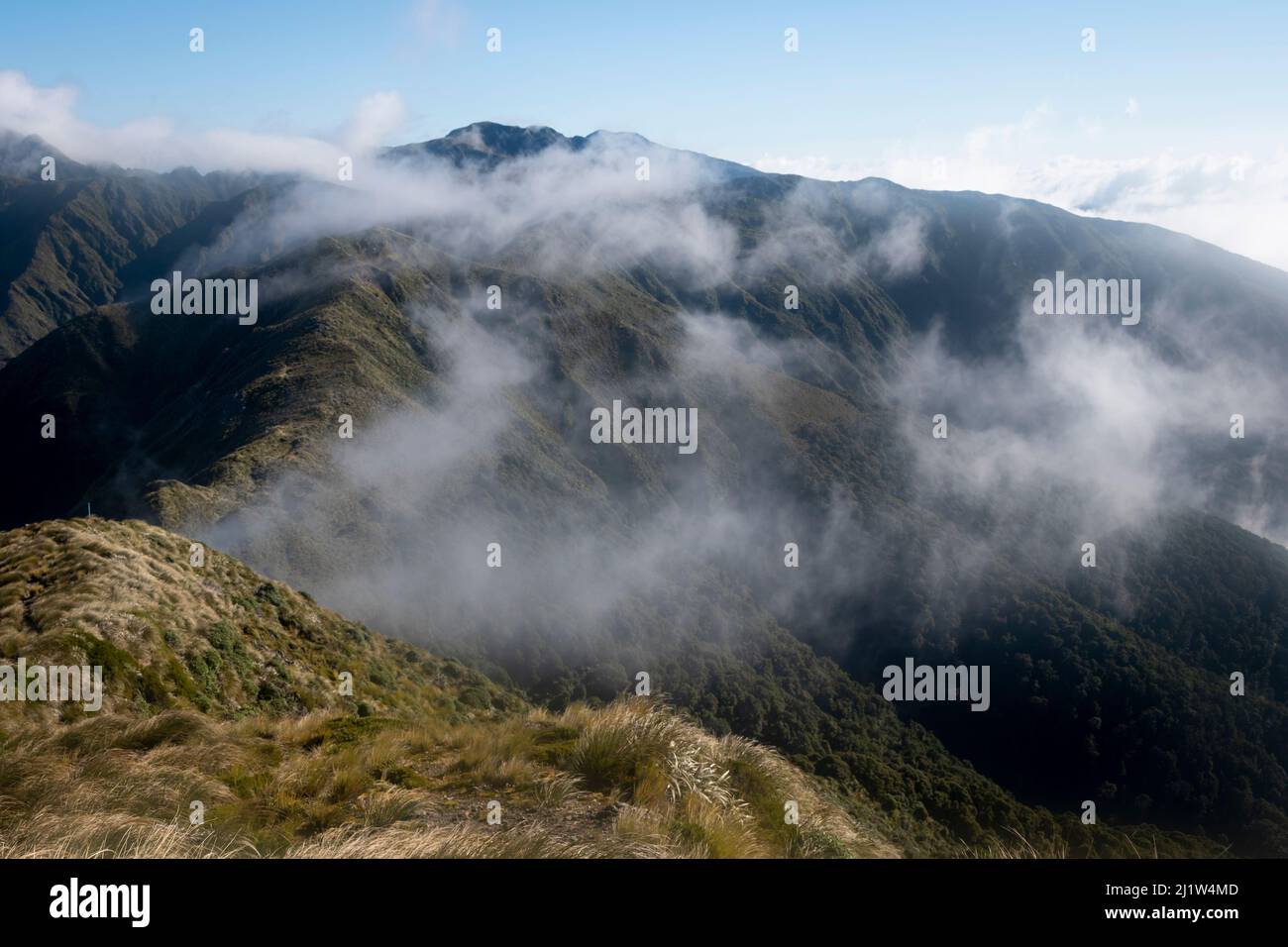 Holdsworth-Jumbo circuit, Tararua Ranges, North Island, New Zealand ...