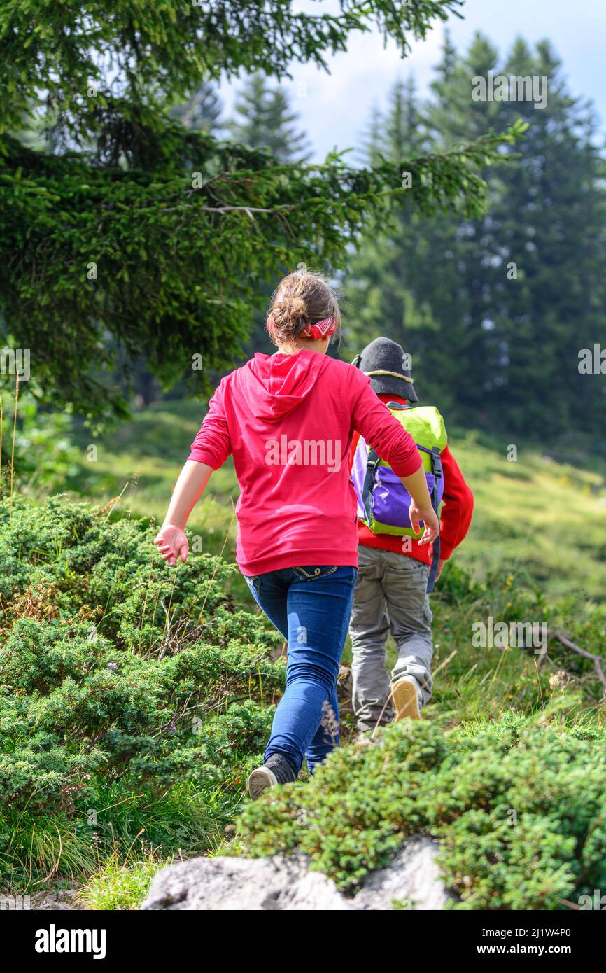 Children hiking in the beautiful nature of the western austrian alps ...