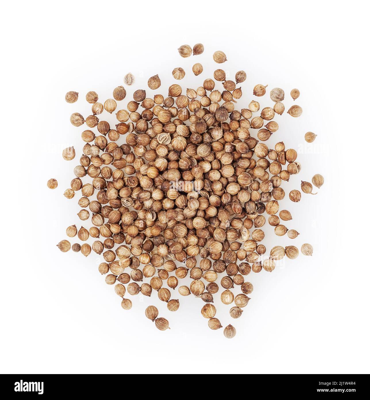 Heap of dried coriander seeds isolated on white background Stock Photo - Alamy