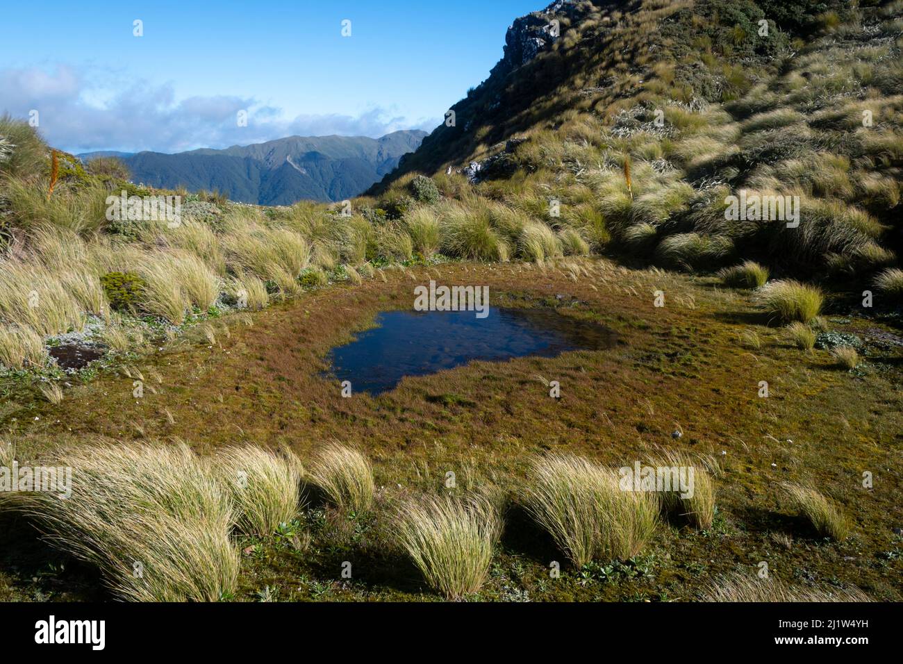 Mountain tarn on ridge near Mount Holdsworth, Holdsworth-Jumbo circuit ...