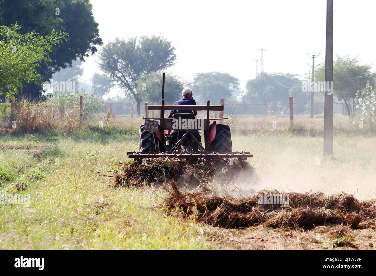 Back view photo hi-res stock photography and images - Alamy