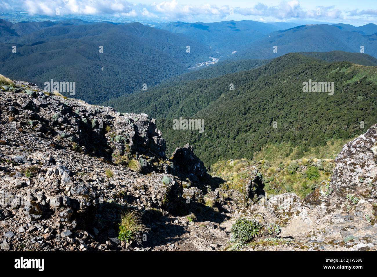 Totara rocks hi-res stock photography and images - Alamy