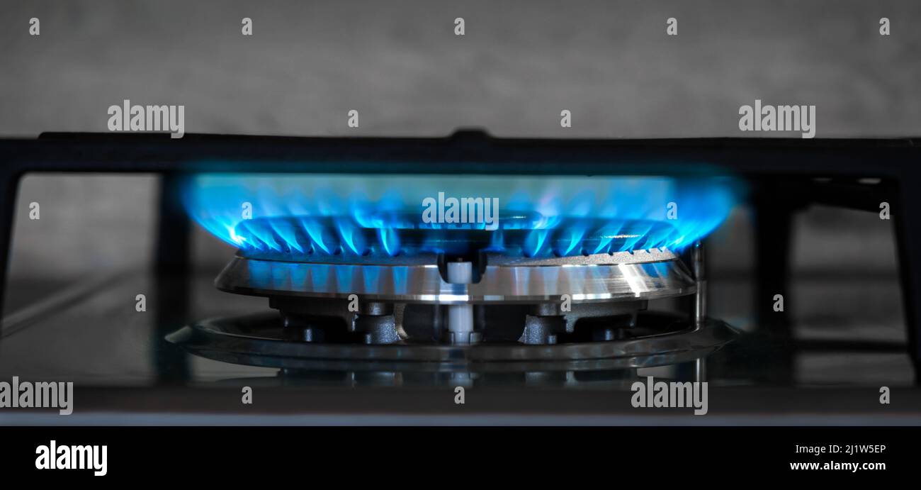 Methane Gas. Gas cooker with burning flames of propane gas. Closeup of ...