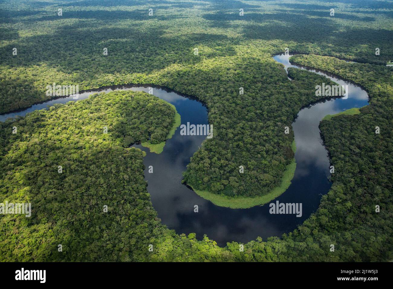 Salonga national park drc hi-res stock photography and images - Alamy