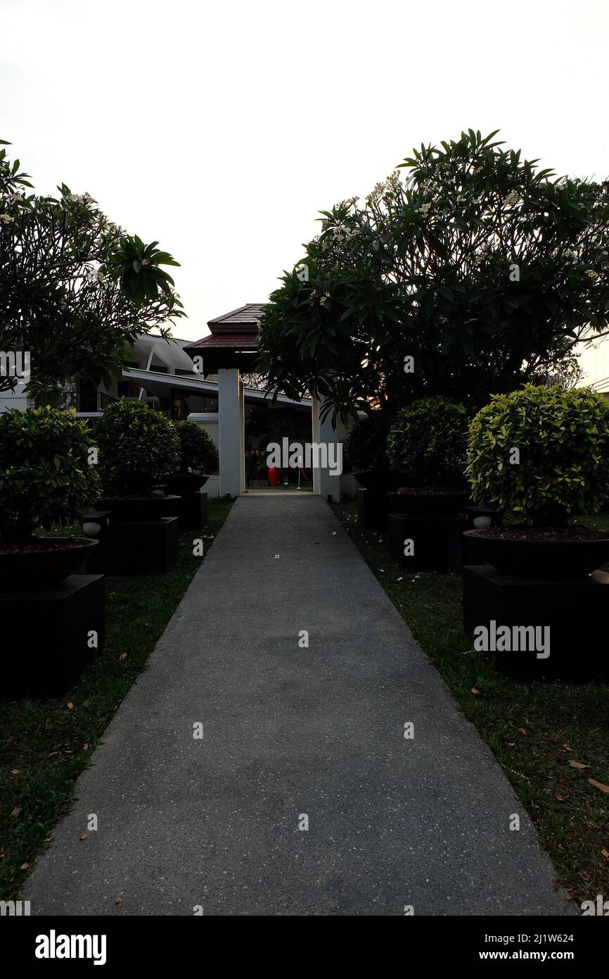 Exterior natural pathway design and green garden park decoration of ...