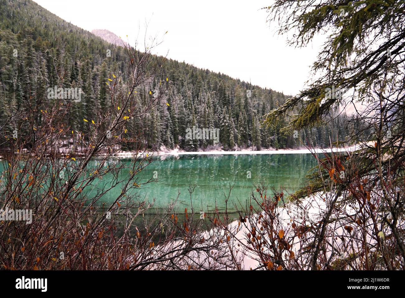 The beautiful view of the green lake and the hillside with pine trees ...