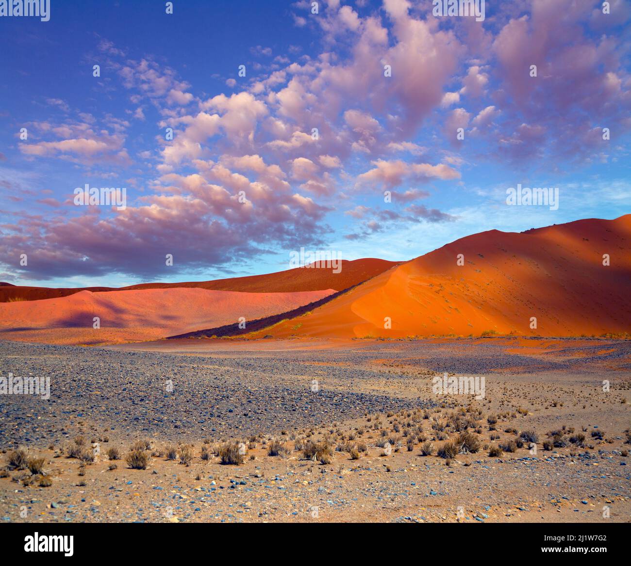 Landscape of the Namib desert, Sossusvlei region, Namibia, March Stock Photo - Alamy