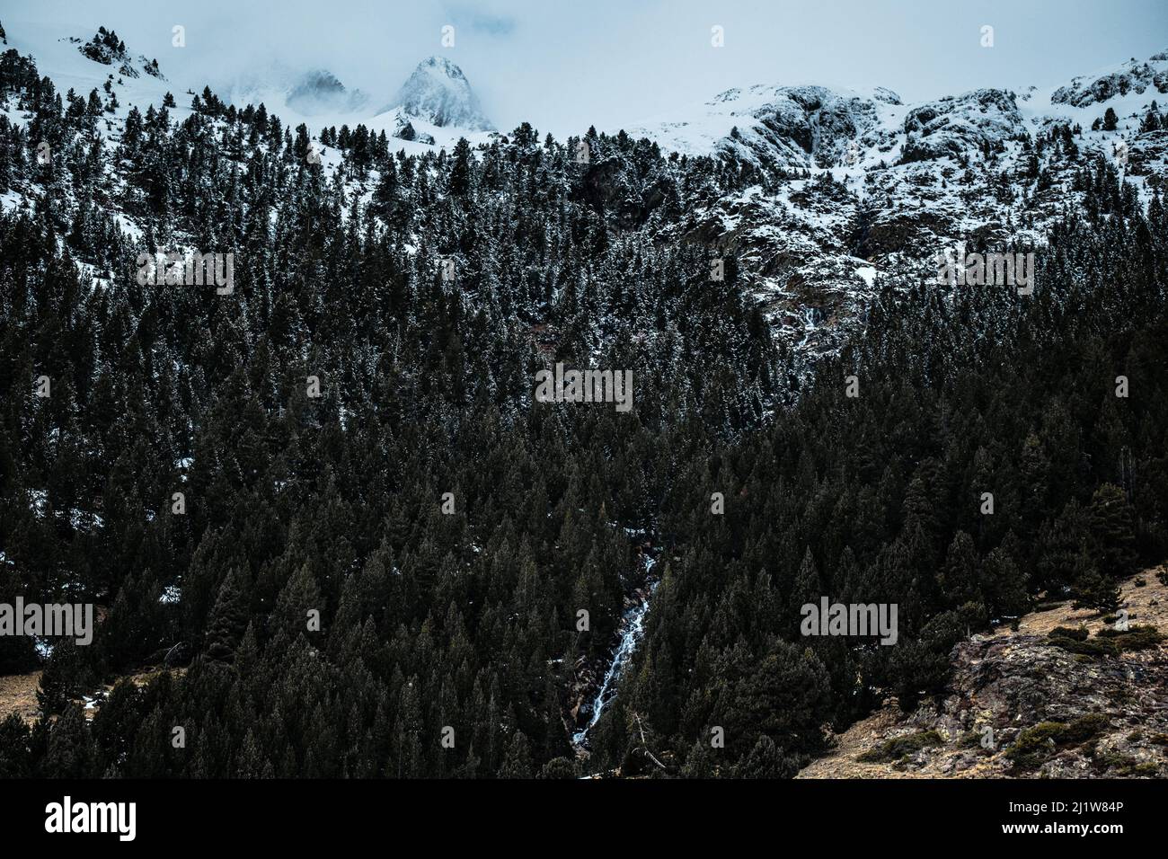 Scenic aerial view of rough mounts with dense forest of green trees ...