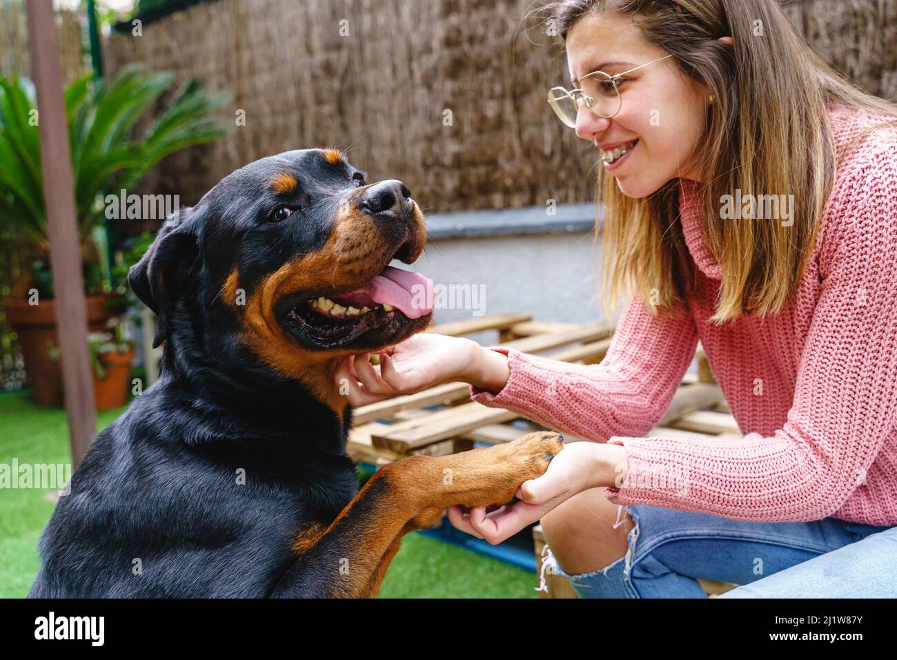How To Play With Rottweiler