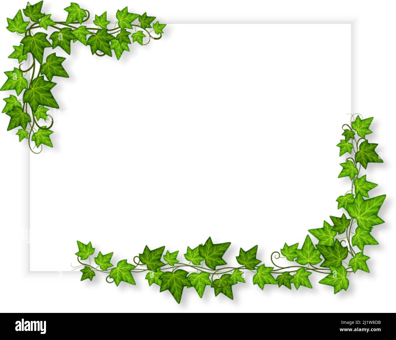 Decorative green ivy banner. Leaves creeper corners, decorative vine ...