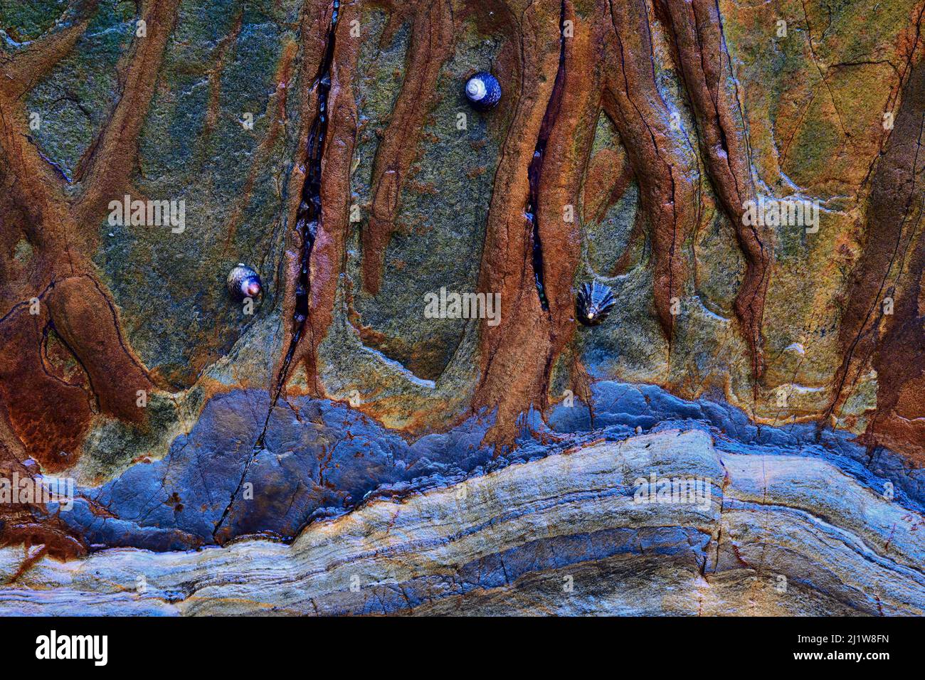 Closeup of textured surface of rough rocky formation with cracks and ...