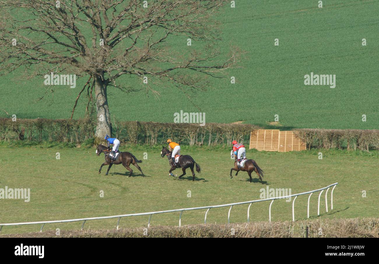 Curre and Llangibby point-to-point at Howick, near Chepstow, South ...