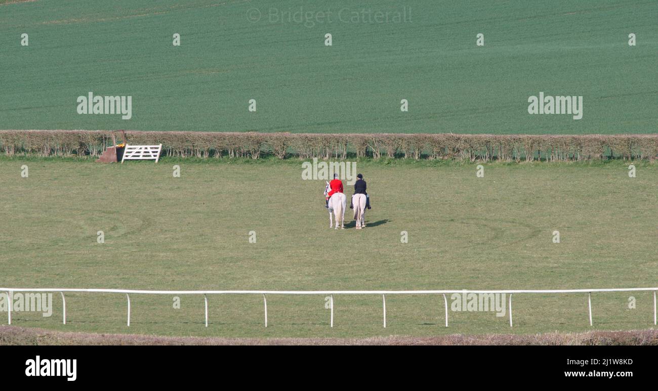 Curre and Llangibby point-to-point at Howick, near Chepstow, South ...