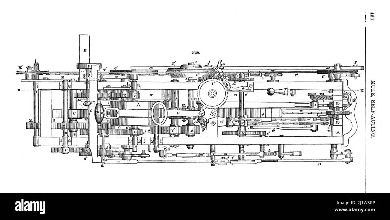 Mason cotton Cut Out Stock Images & Pictures - Alamy
