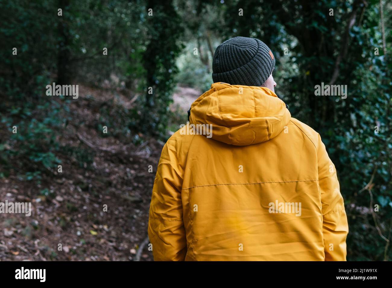 Back view male hiker in yellow jacket and hat looking into distance ...