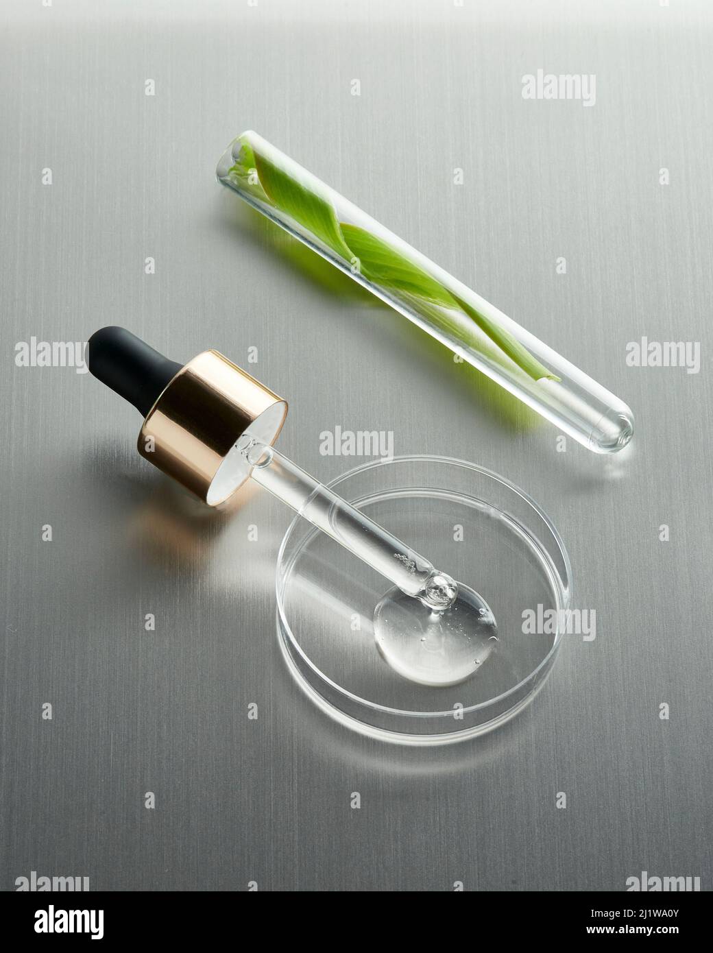 From above of pipette with natural Hyaluronic acid on Petri dish placed ...