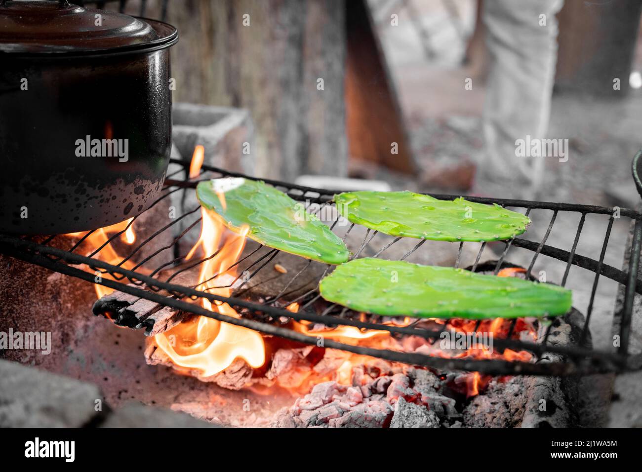 Mexican flame leaf hi-res stock photography and images - Alamy