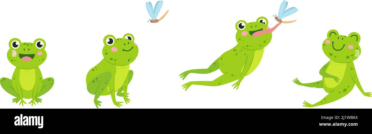 Funny frog. Animal jump to eat fly insect. Green cartoon isolated frogs ...