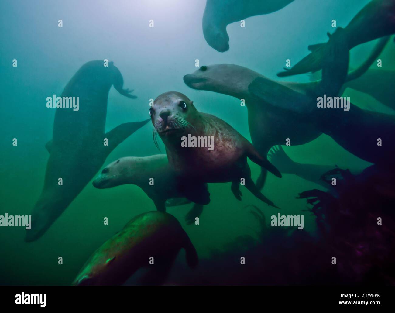 Inian island hi-res stock photography and images - Alamy