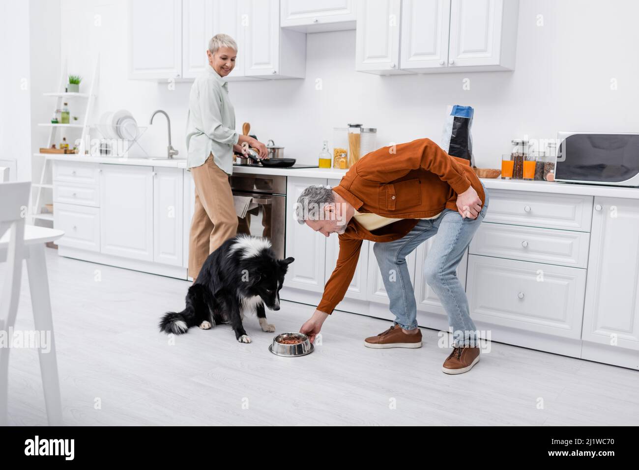 Mature man putting bowl with food near border collie dog and cheerful ...