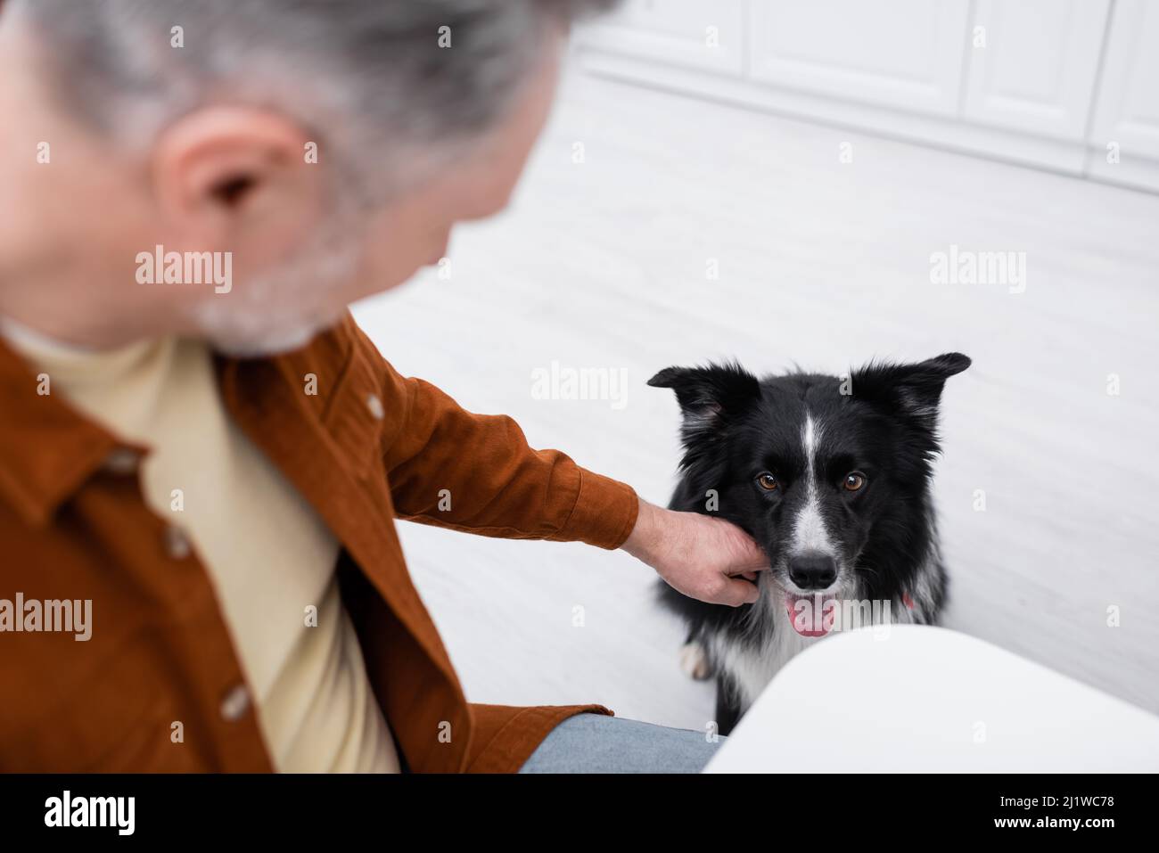 Man with border collie hi-res stock photography and images - Alamy