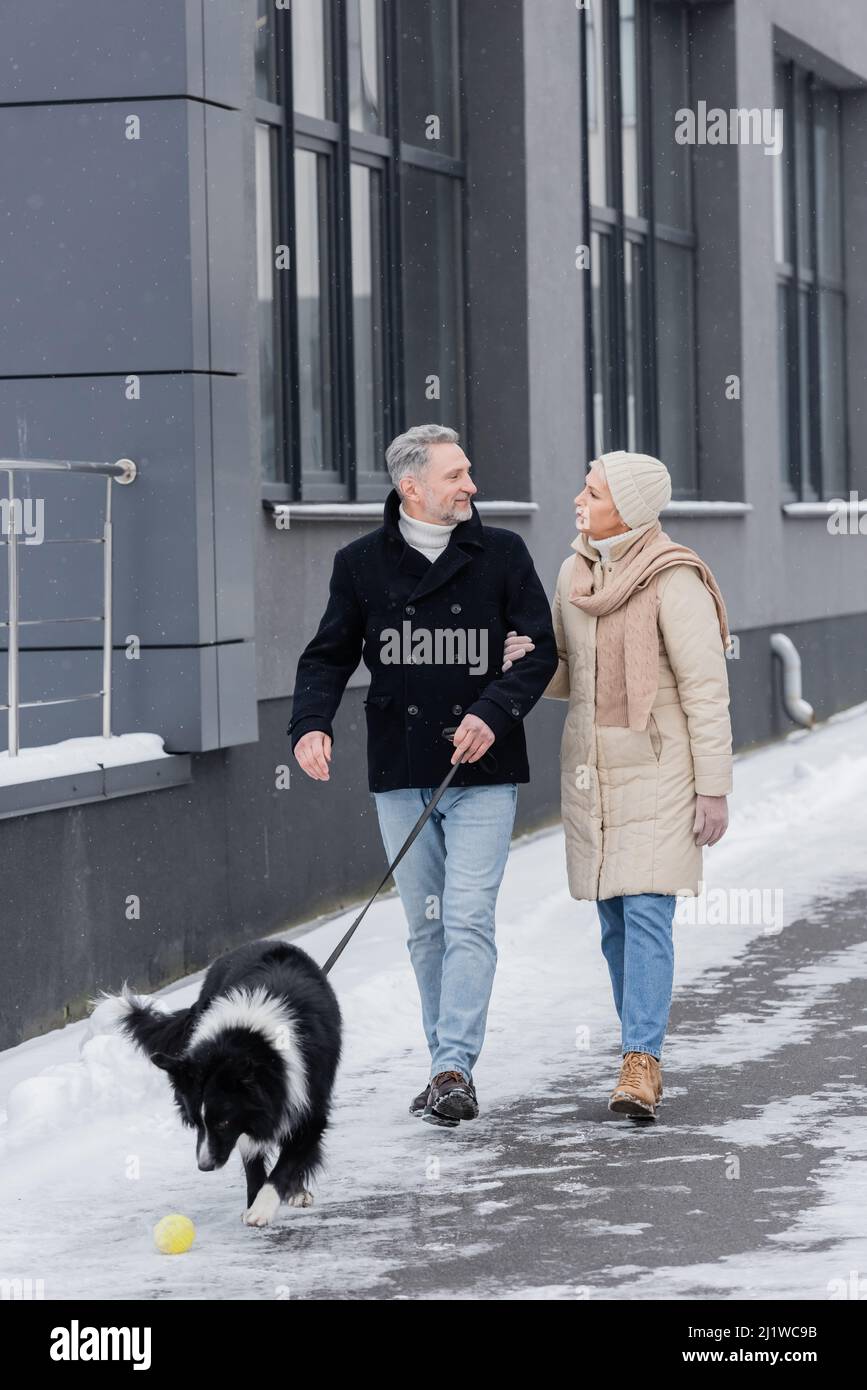 Couple in winter outfit talking while walking on leash border collie on ...